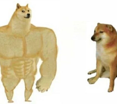 Titula este meme perro fuerte débil – 70 – Final de Chiste